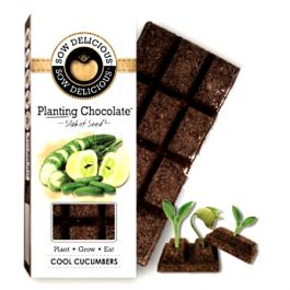 Sow Delicious Planting Chocolate Slab of Seeds - Cool Cucumbers